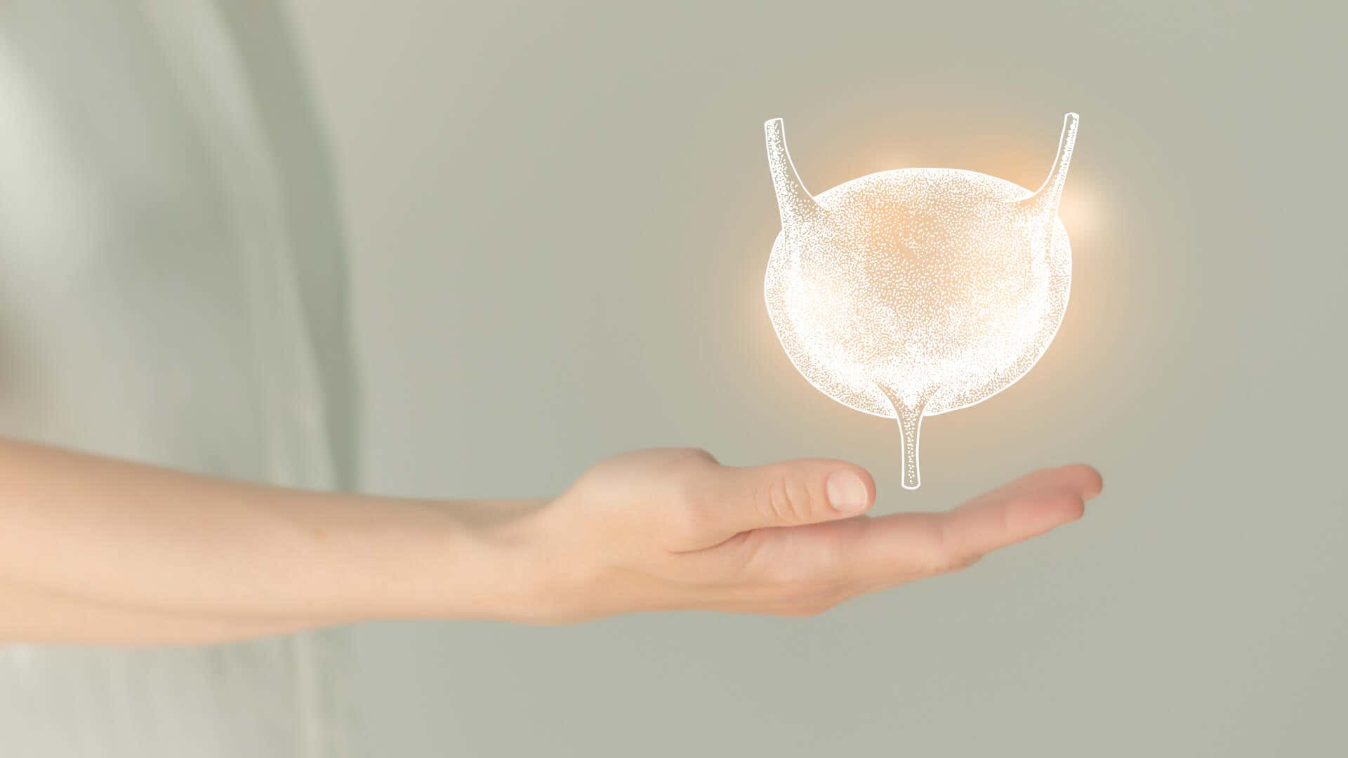 Cistitis | Infección del tracto urinario en mujeres