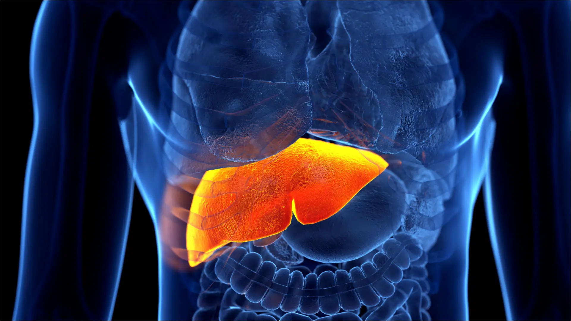 ¿Qué es la sífilis y cómo se detecta? | Chopo